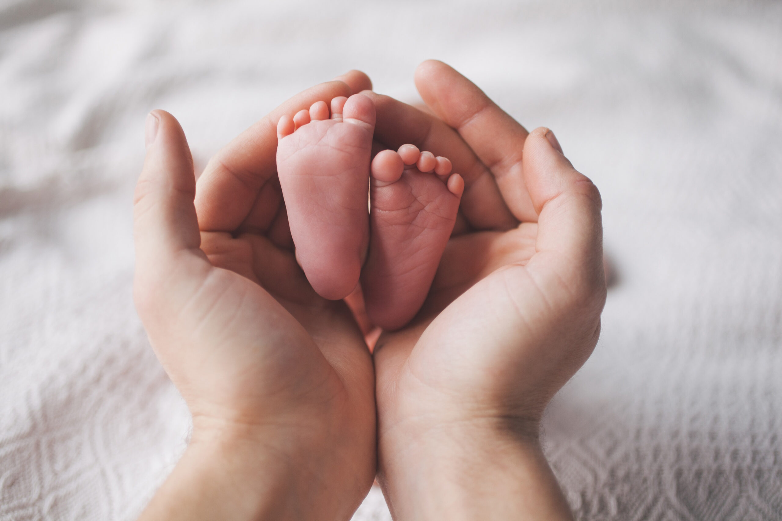 Déclarer une naissance - Noisy le sec